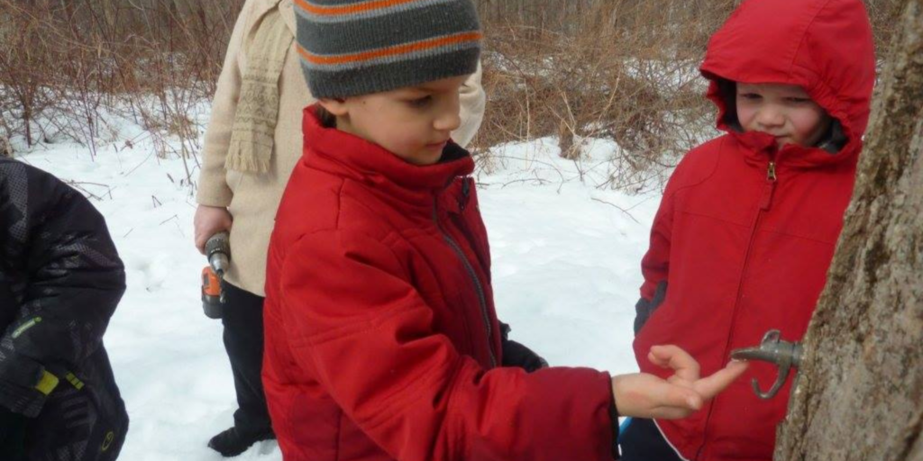 Maple Day - South Shore YMCA