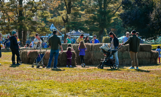South Shore YMCA Corn Festival 2024: A Kernel of Joy for All Ages ...