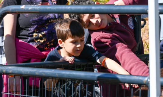 South Shore YMCA Corn Festival 2024: A Kernel of Joy for All Ages ...