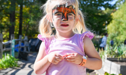 South Shore YMCA Corn Festival 2024: A Kernel of Joy for All Ages ...