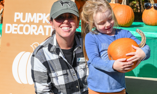 South Shore YMCA Corn Festival 2024: A Kernel of Joy for All Ages ...