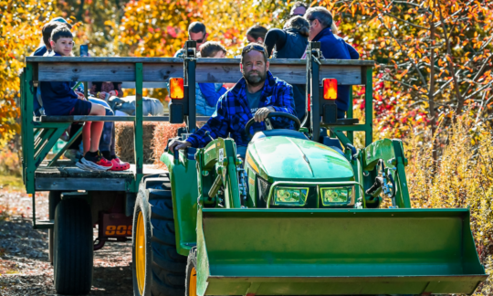 South Shore YMCA Corn Festival 2024: A Kernel of Joy for All Ages ...
