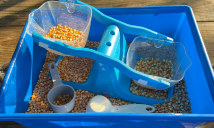 South Shore YMCA Corn Festival 2024: A Kernel of Joy for All Ages ...